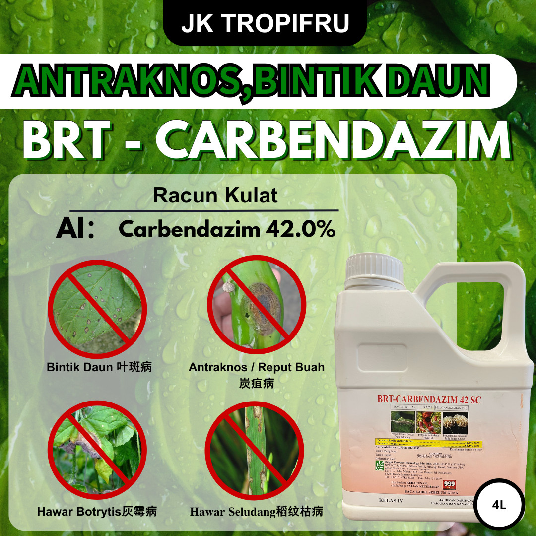 BRT - CARBENDAZIM 42SC 4L | JK TROPIFRU AGRICULTURE
