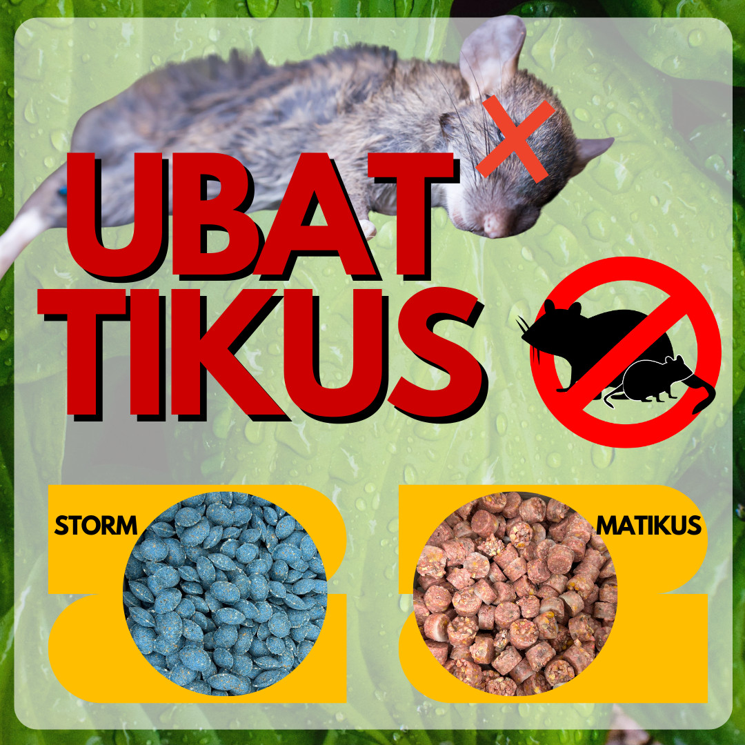 MATIKUS 100G X5 | JK TROPIFRU AGRICULTURE